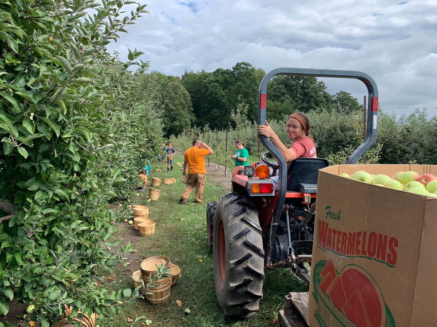 Apples For Everyone – Johnston Fruit Farms