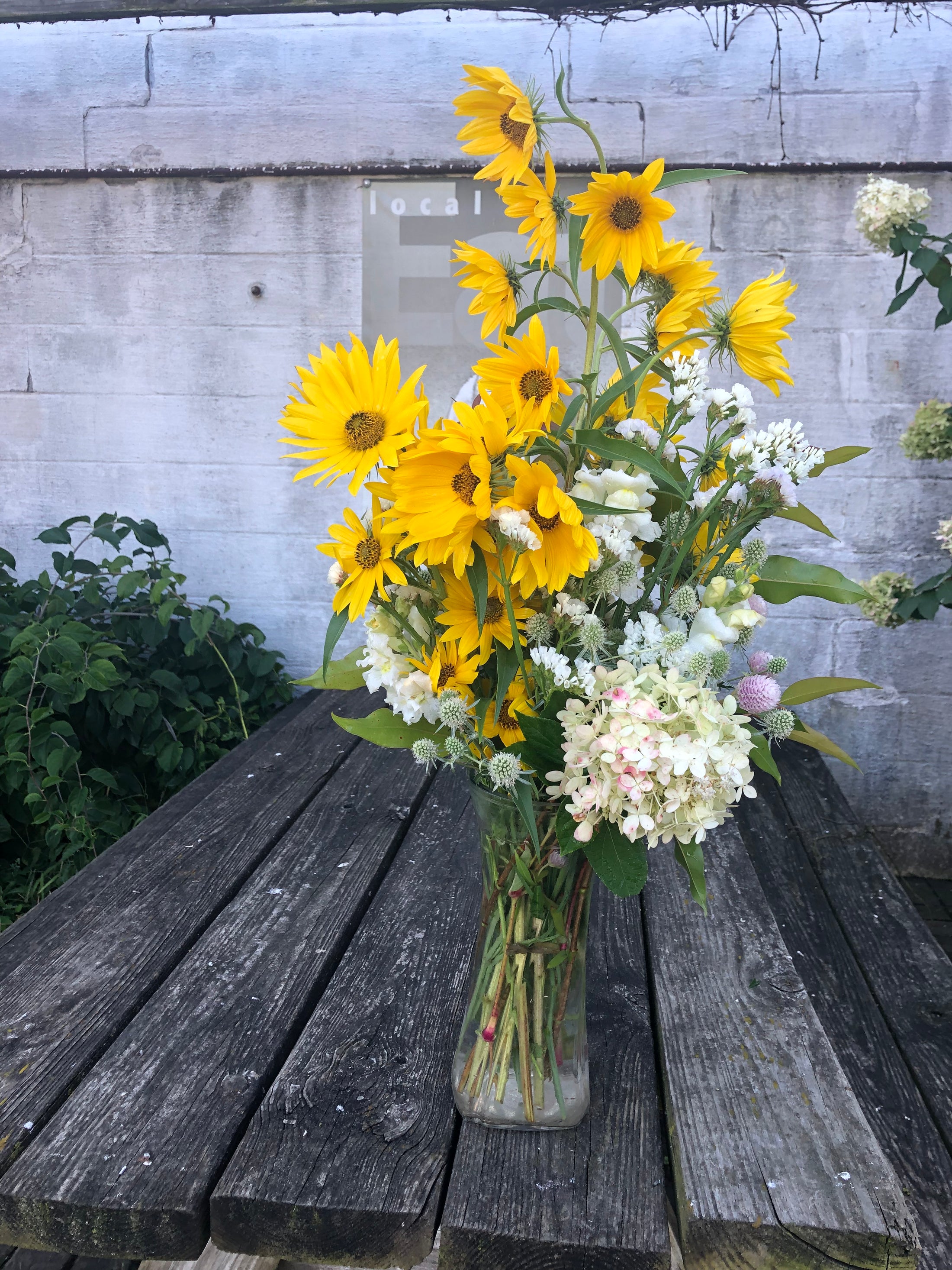 u pick flowers near me – Johnston Fruit Farms